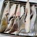 NG比目魚頭刀 全富水產