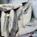 NG比目魚頭刀 全富水產