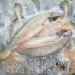 黃魚一夜干 全富水產