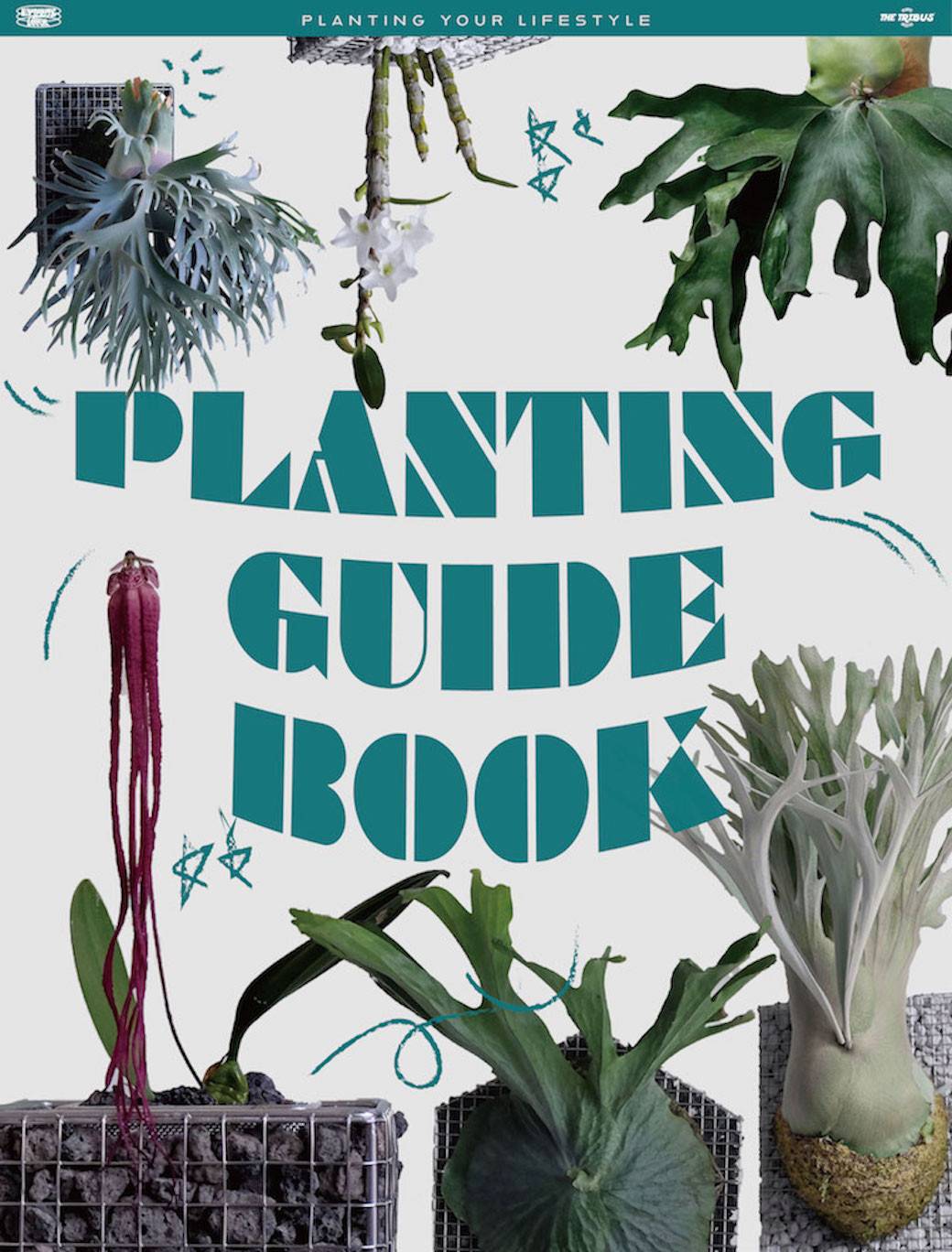 Chapter I- 個性種植提案 - THE TRIBUS STUDIO ® Official Website