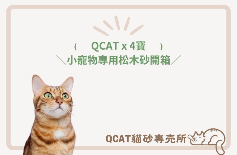 ﹛QCAT x 4寶﹜\小寵物專用松木砂開箱／